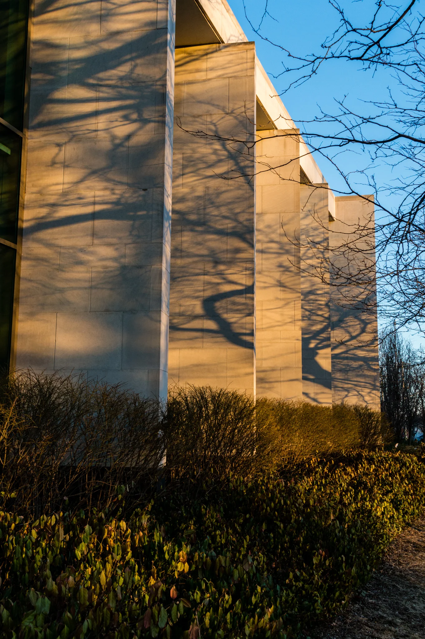 Kortika Kar — Caio Camargo