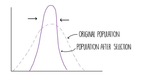 Evolution OCR — the science sauce