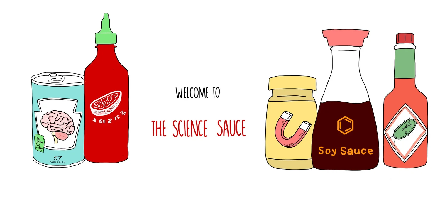Homepage — the science sauce