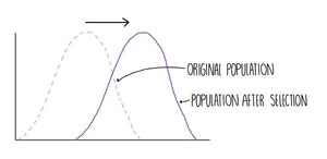 Evolution OCR — the science sauce
