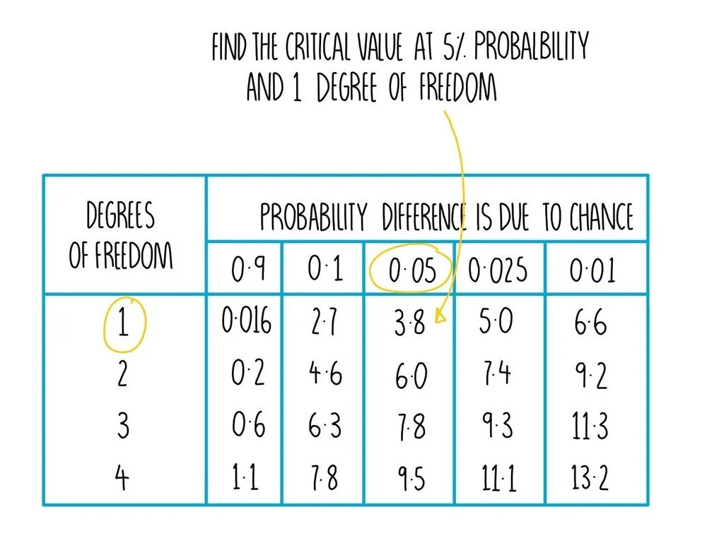 Genetics AQA — the science sauce