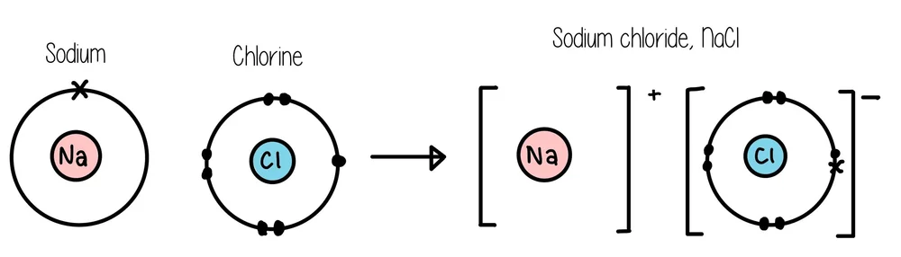 ionicbondinganswers — the science sauce