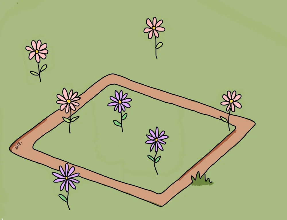 The organisms in the environment (GCSE) — the science sauce