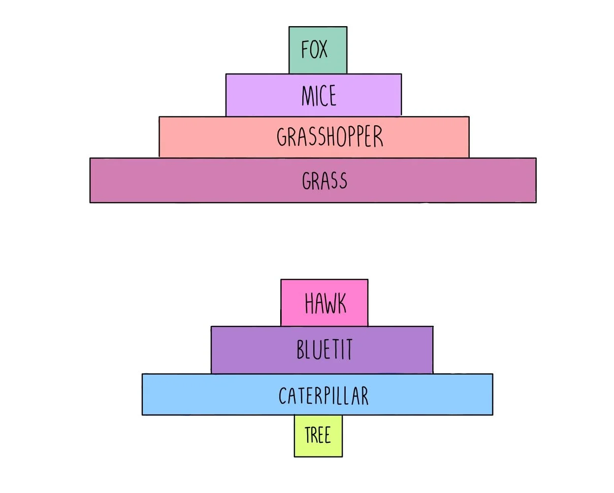 Feeding relationships — the science sauce