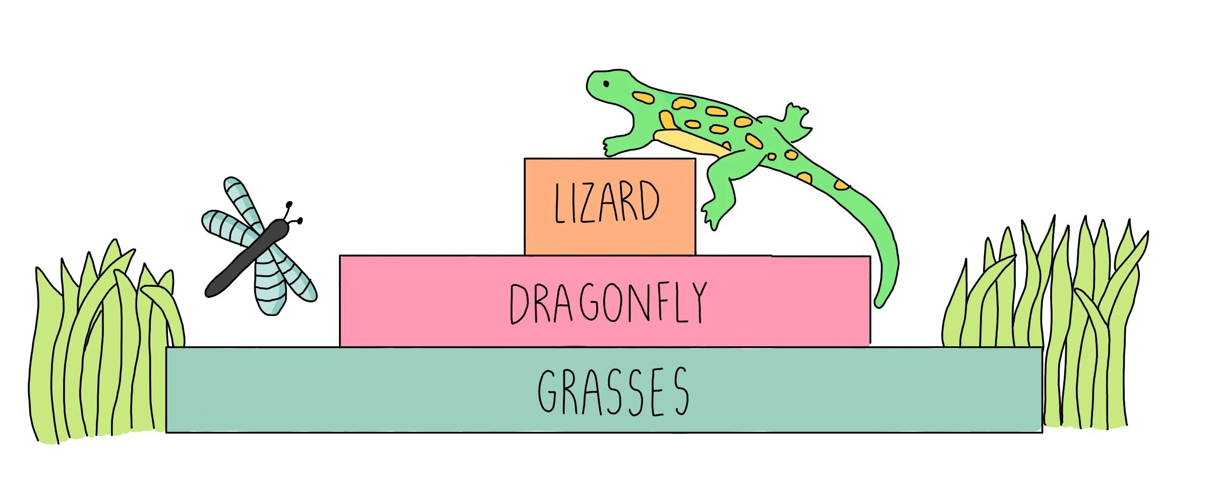 Feeding relationships — the science sauce