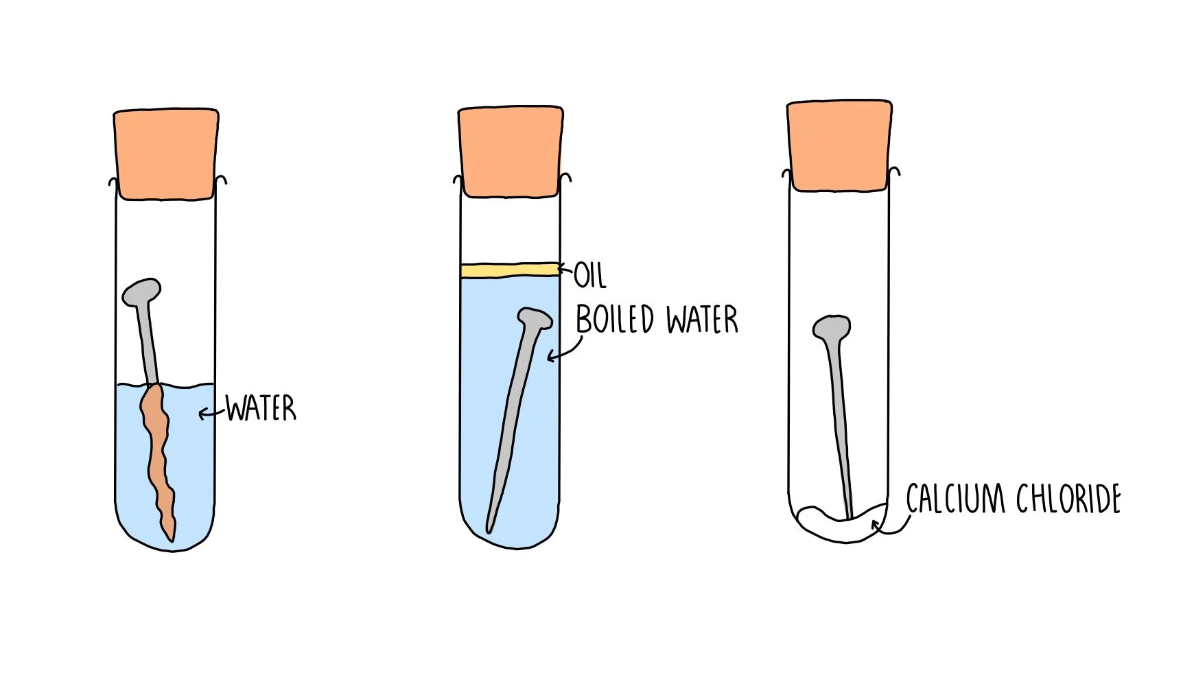 The Reactivity Series (GCSE) — the science hive