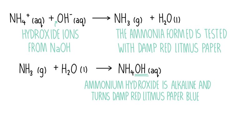 Chemical tests (GCSE) — the science sauce