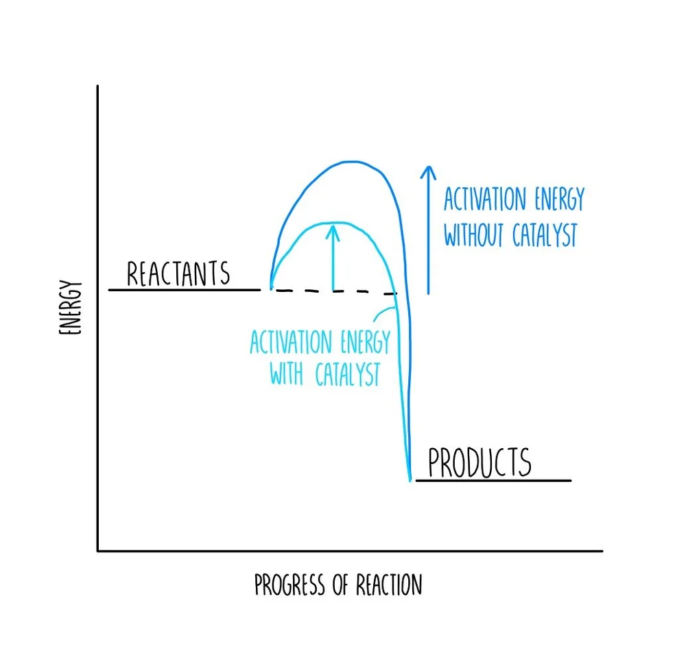 Rates of Reaction (GCSE) — the science sauce