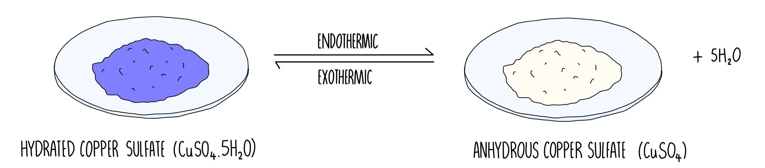 Reversible Reactions and Equilibria (GCSE) — the science sauce