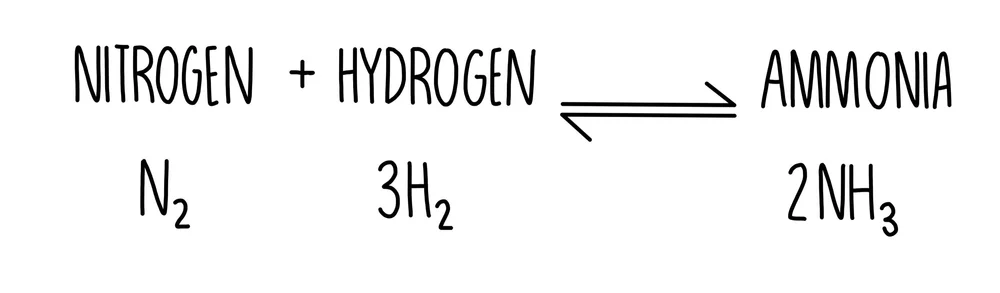 Beautiful Work Nitrogen Reacts With Hydrogen Equation Of Respiration