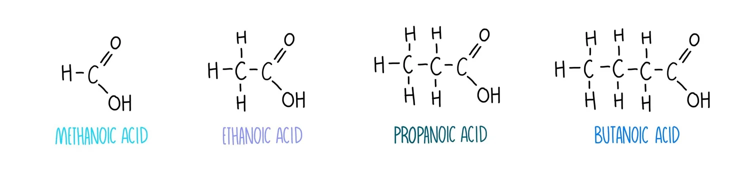 Alcohols, Carboxylic Acids and Esters (GCSE) — the science sauce