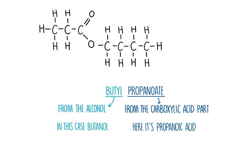 Alcohols, Carboxylic Acids and Esters (GCSE) — the science sauce