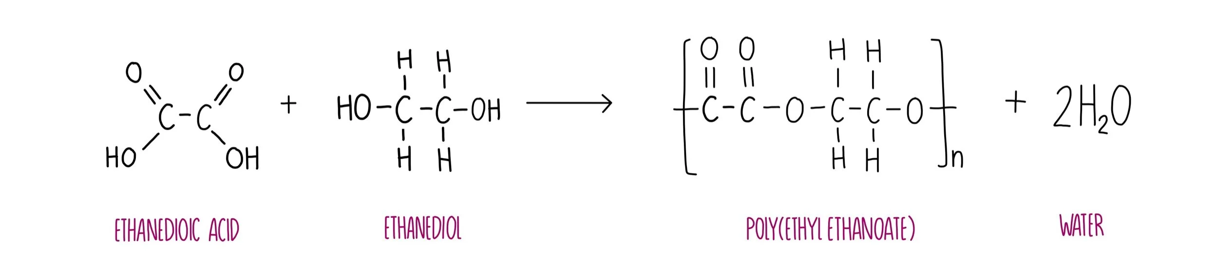 Polymers (GCSE) — the science hive