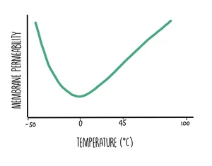 Biological Membranes (A-Level) — the science sauce
