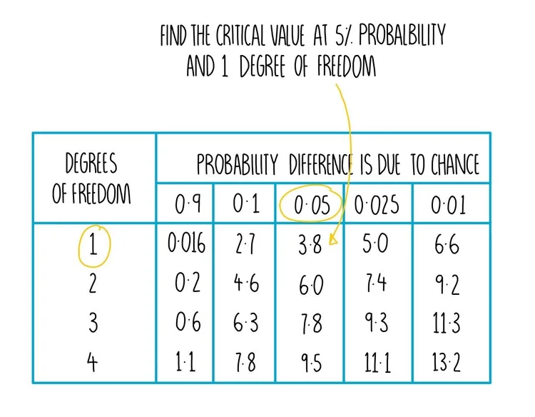 Statistical Tests (A Level) — the science sauce