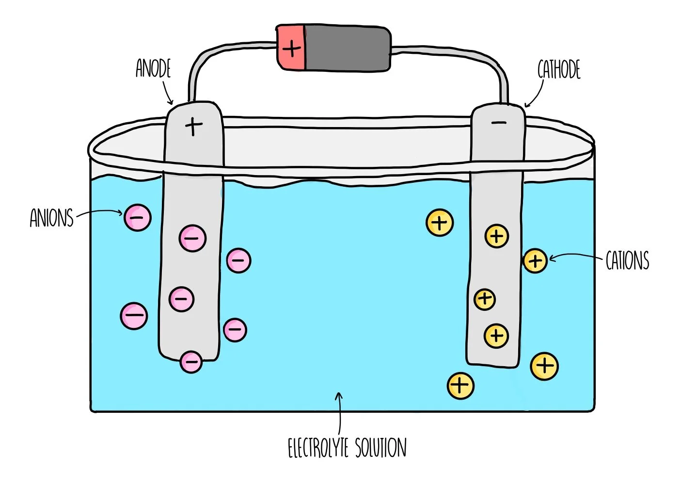 Electrolysis and Fuel Cells* — the science sauce