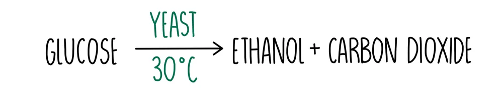 Alcohols, Carboxylic Acids and Esters (GCSE) — the science sauce
