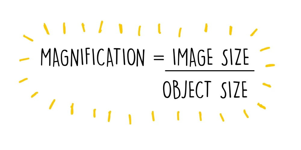 Cell structure* — the science sauce