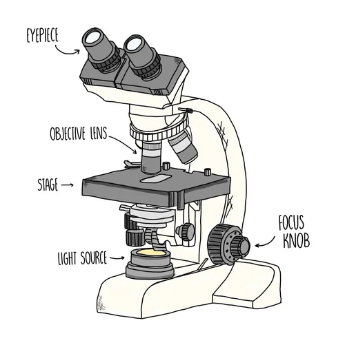 Cell structure* — the science sauce