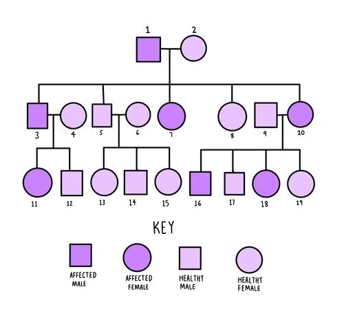 Reproduction* — the science sauce