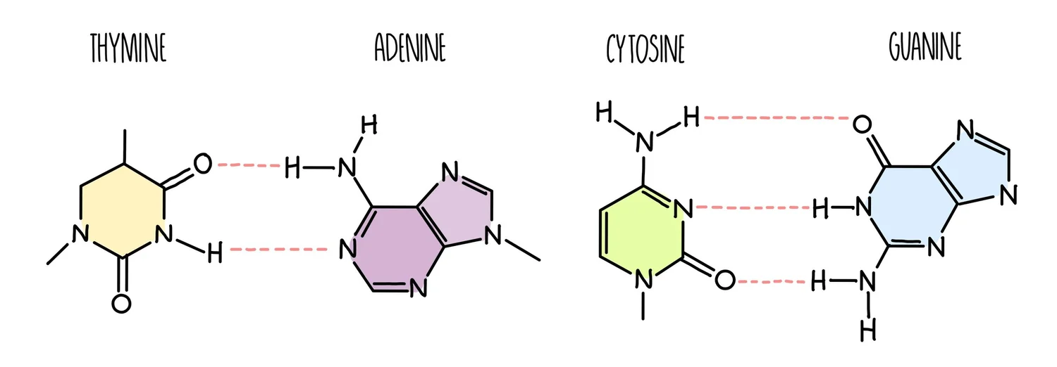 Reproduction* — the science sauce