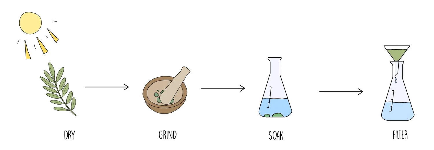 Antibiotics and Drug Testing (A Level) — the science sauce