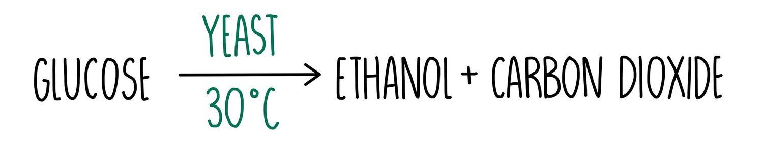 Alkenes and Alcohols (AQA) — the science sauce