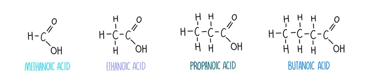 Alkenes and Alcohols (AQA) — the science sauce