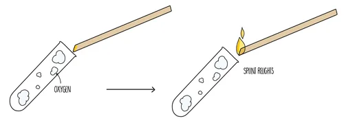 Identifying Gases (AQA) — the science sauce