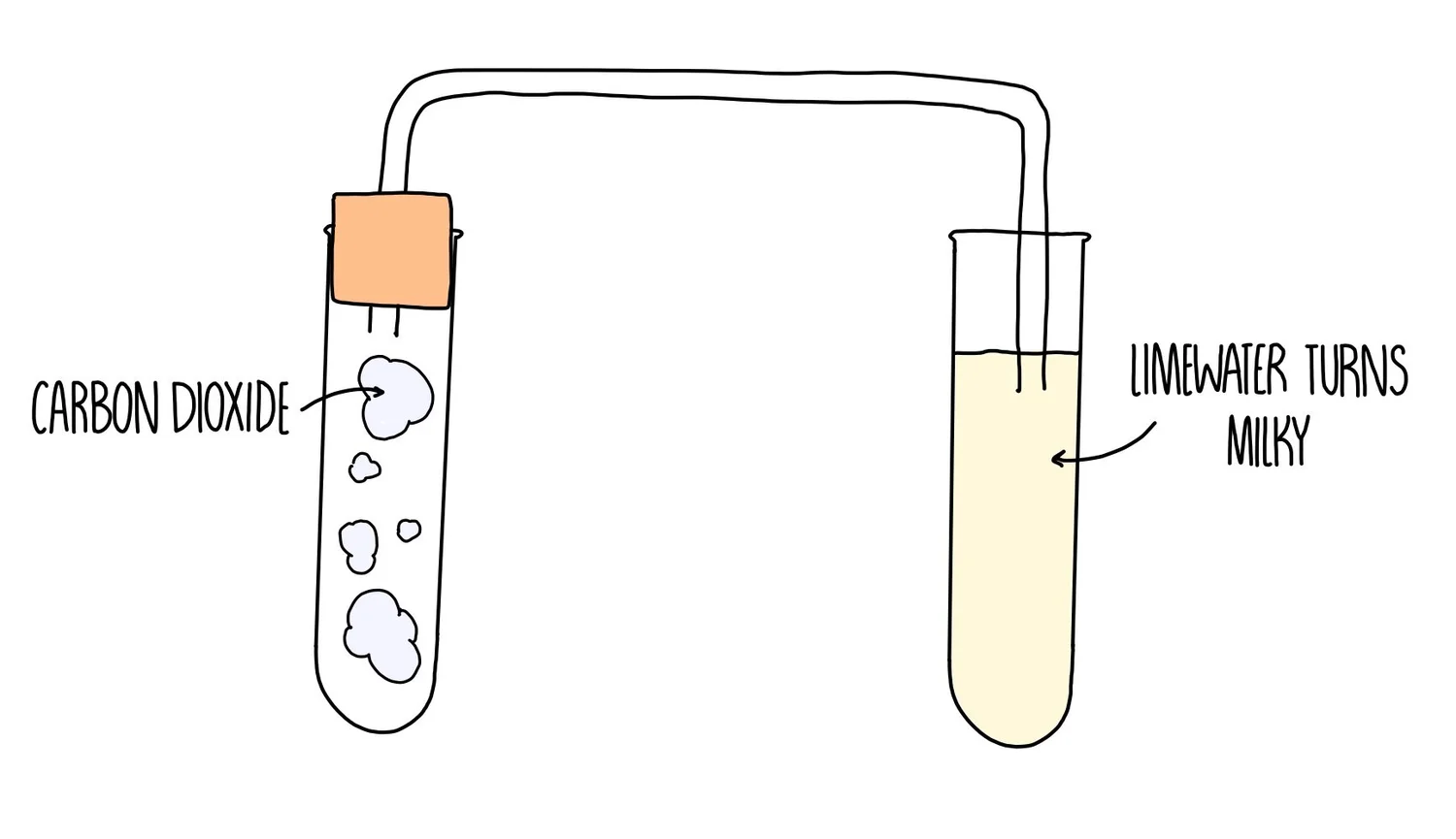 Identifying Ions (AQA) — the science sauce
