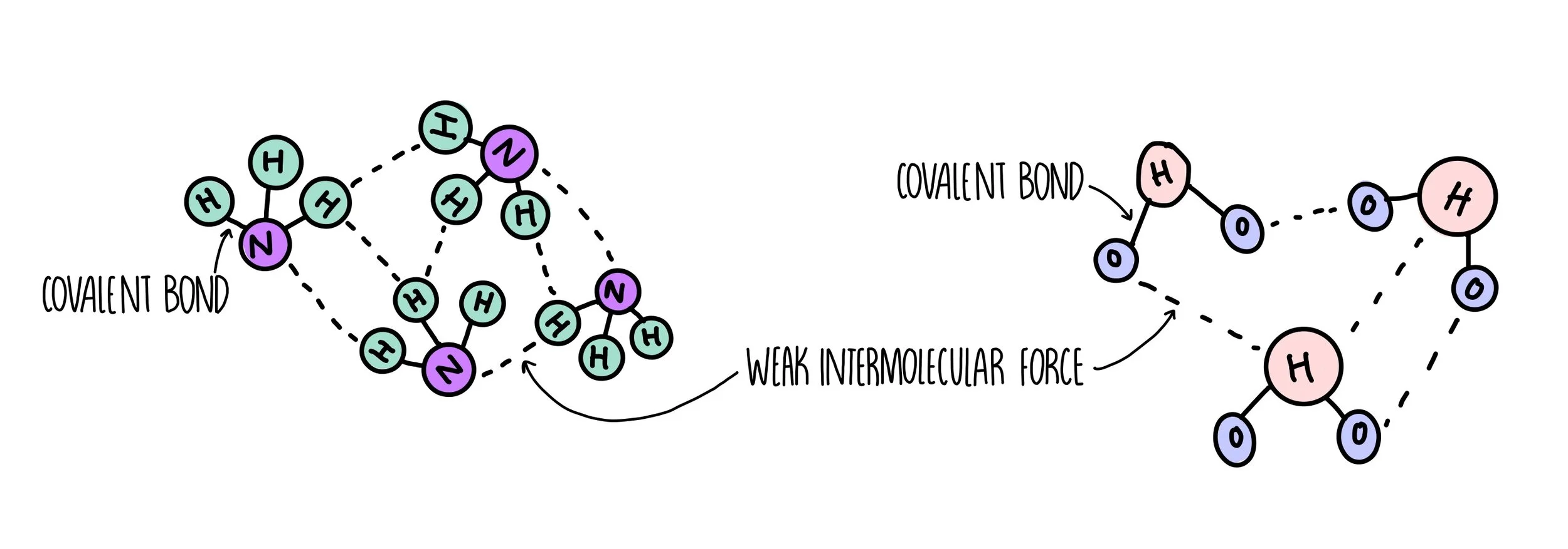 Bonding and Structure* — the science sauce