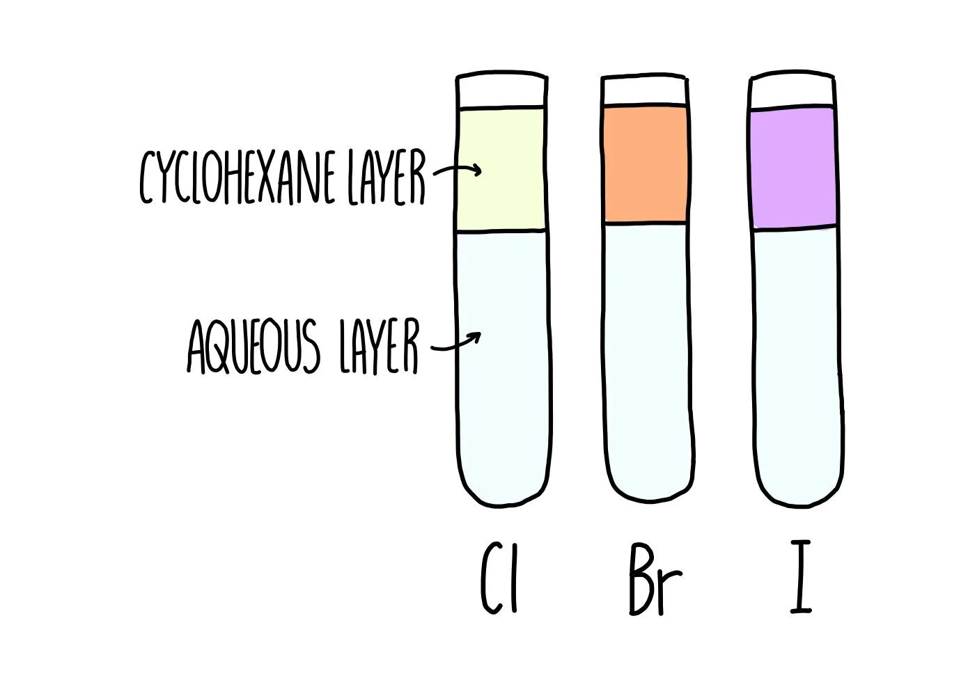 The Halogens* — the science sauce