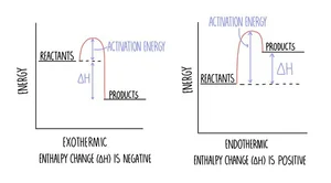 Enthalpy Changes* — the science sauce