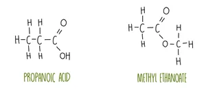 Basic Concepts of Organic Chemistry* — the science sauce