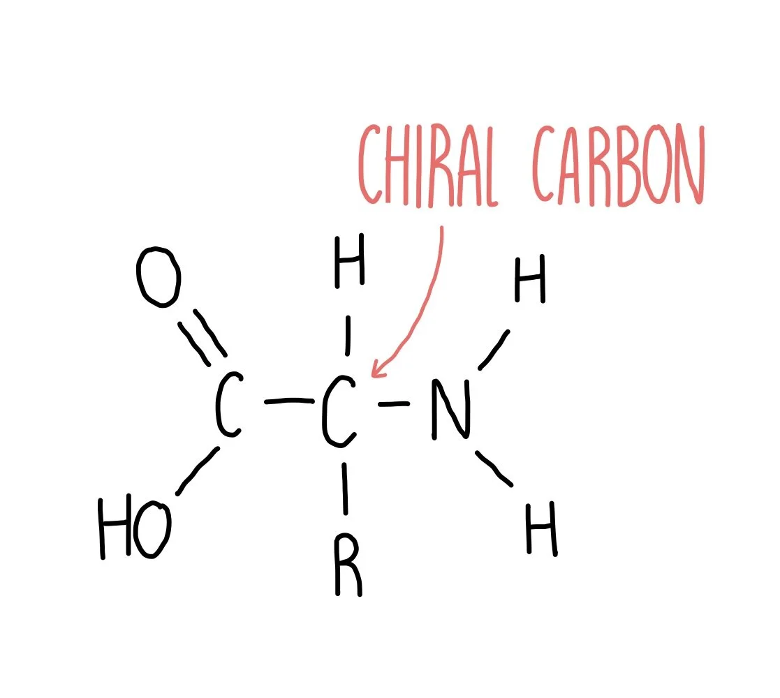 Amines, amides and amino acids* — the science sauce