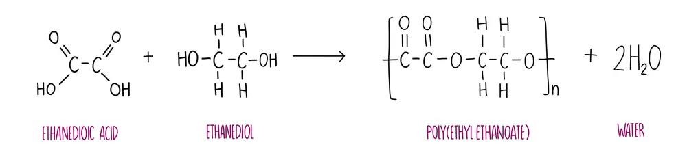 Polyesters and polyamides* — the science sauce