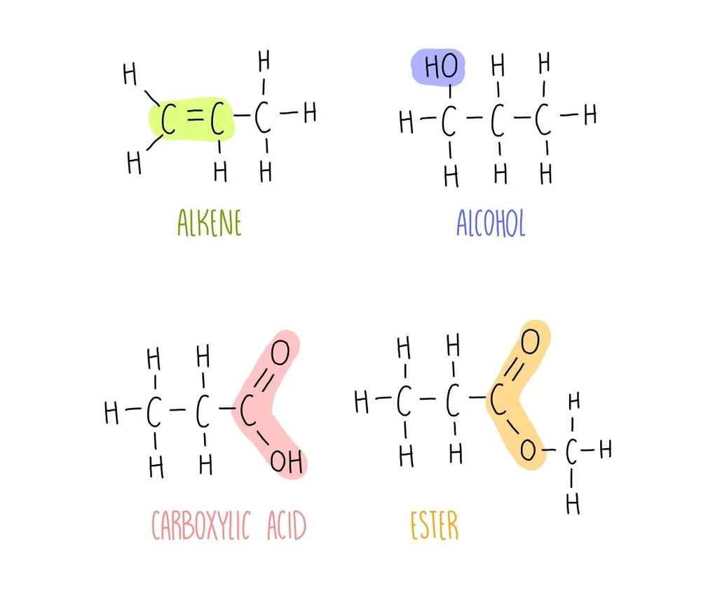 Basic Concepts of Organic Chemistry* — the science sauce