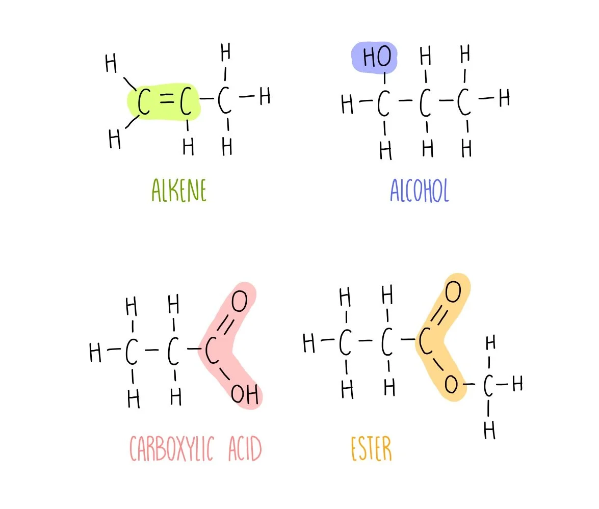 Basic Concepts of Organic Chemistry* — the science sauce