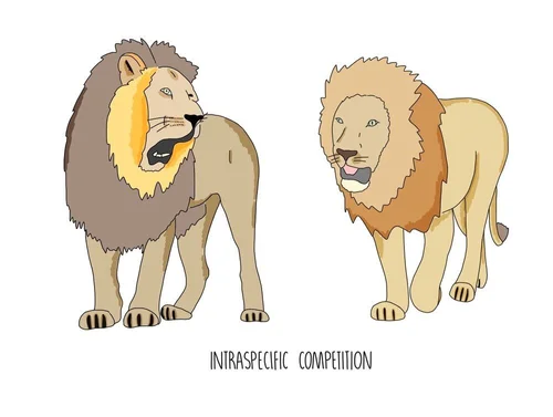 Ecosystems AQA — the science sauce