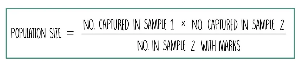 Ecosystems AQA — the science sauce