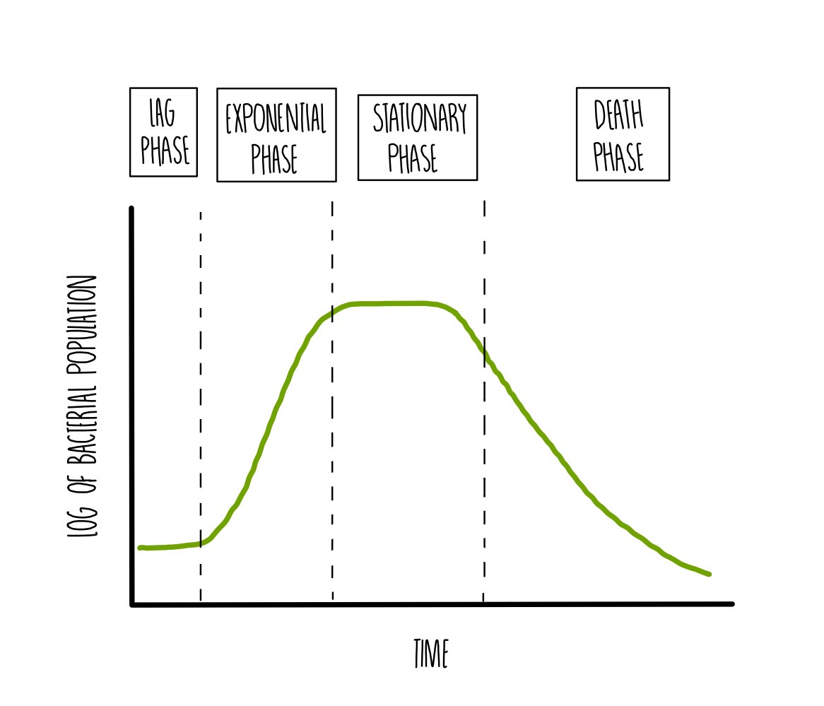 Cloning and Biotechnology OCR — the science sauce