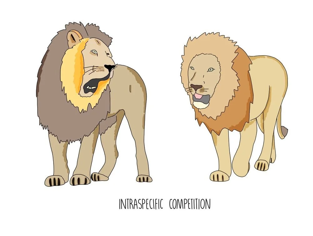 Populations and Sustainability OCR — the science hive