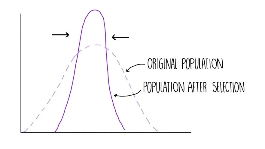 Evolution AQA — the science sauce