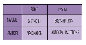 Immunity to Disease OCR — the science hive