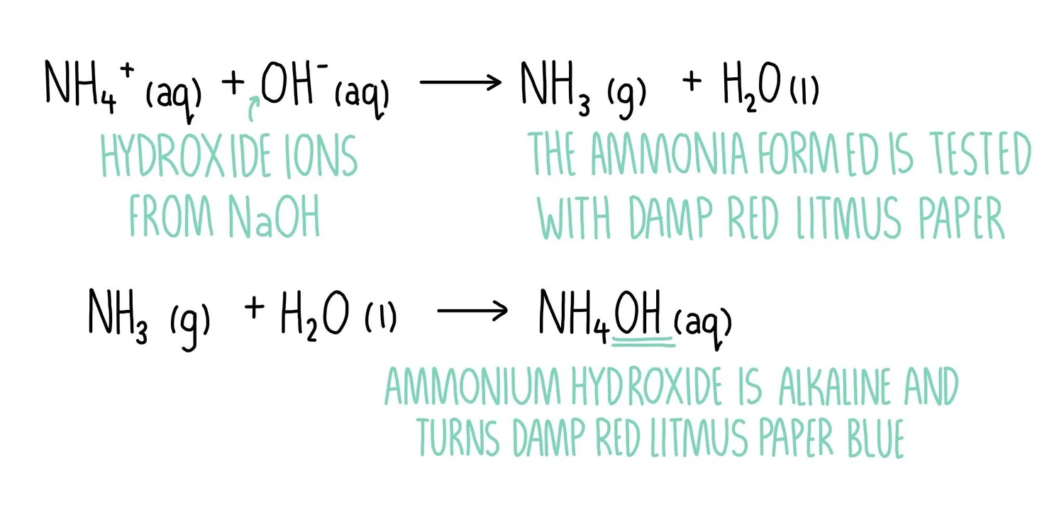 Test for Ions* — the science sauce