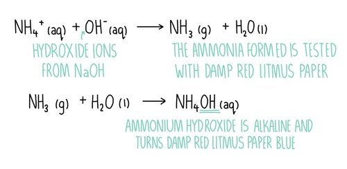Test for Ions* — the science sauce