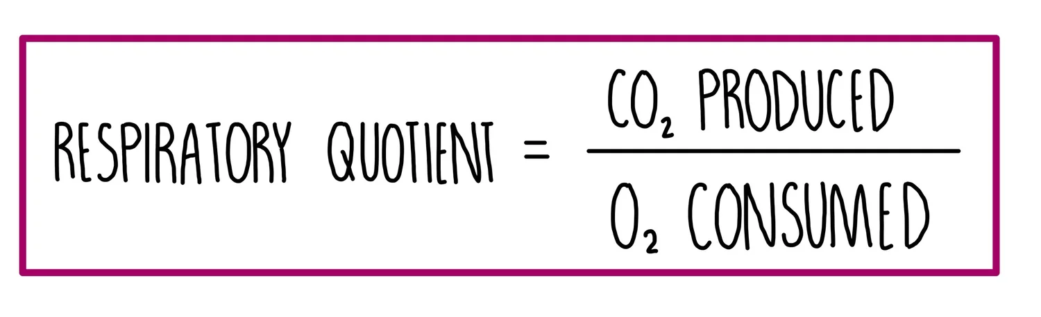 Respiration OCR — the science sauce