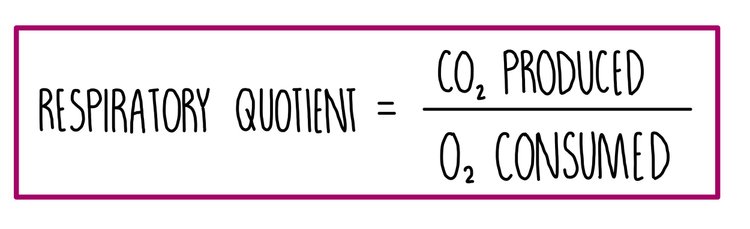 Respiration OCR — the science sauce