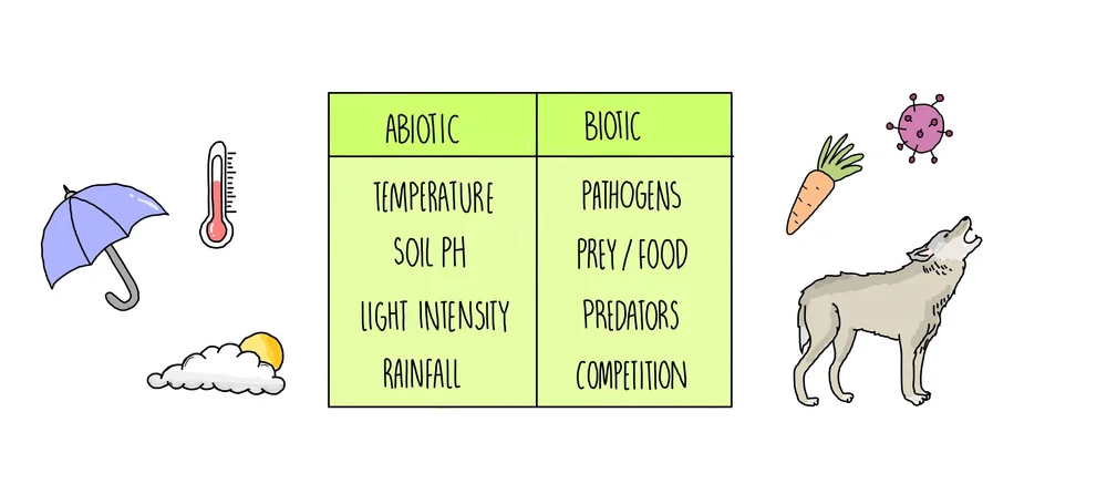 Adaptations, Interdependence and Competition — the science sauce