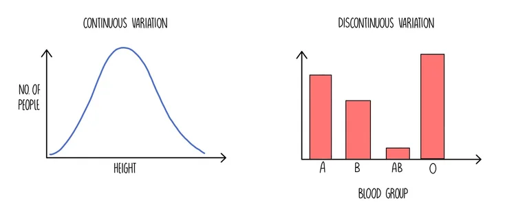 Classification and Evolution OCR — the science hive